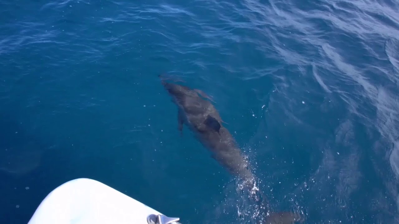 eSKay - #Float - YouTube