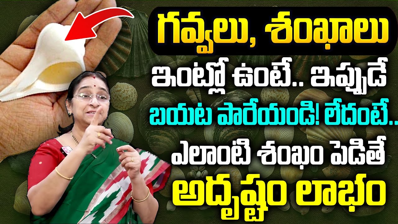 Ramaa Raavi : గవ్వలు శంఖాలు ఇంట్లో ఉంటే వెంటనే బయట పారేయండి! | Shankalu ...