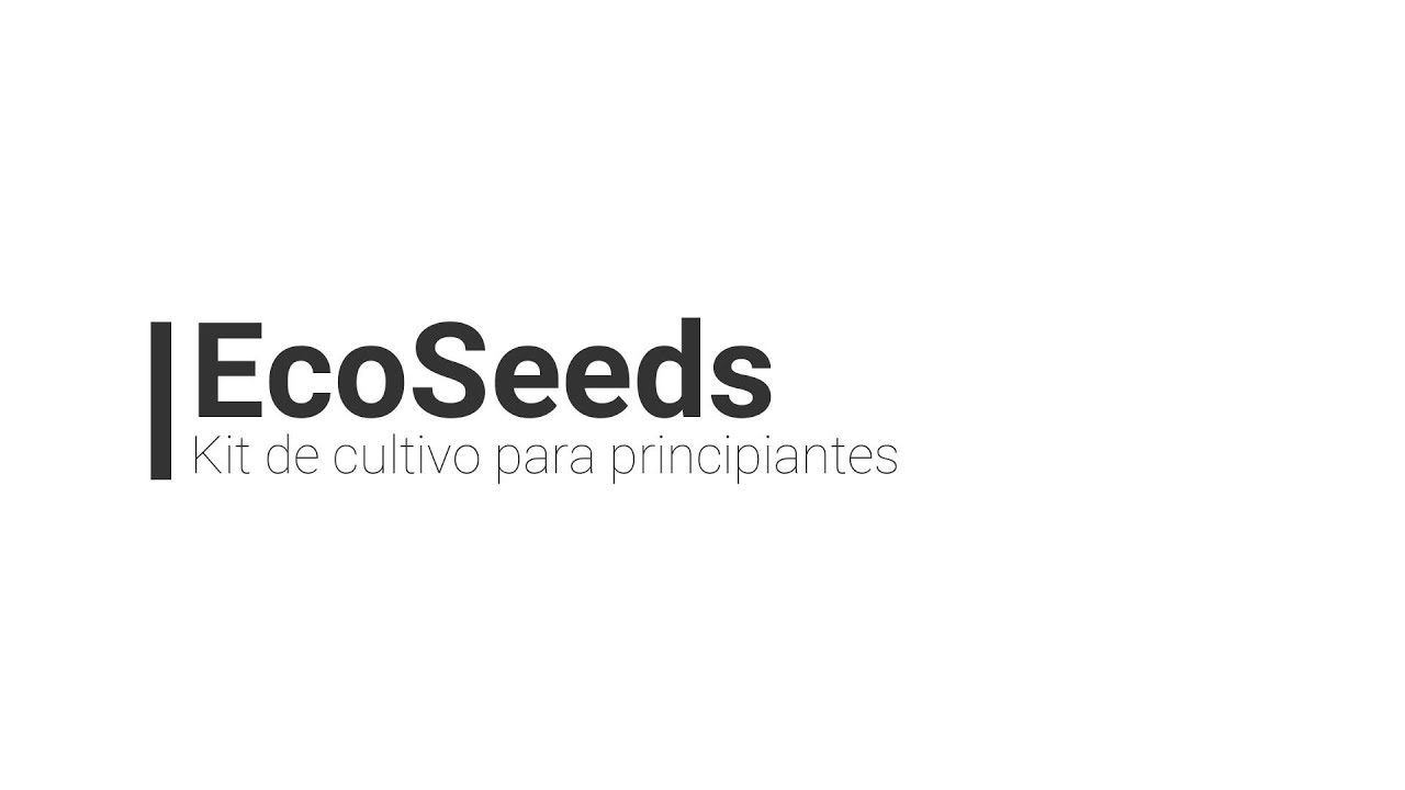 EcoSeeds: Transforma tu Ciudad con Huertos Urbanos - El Kit de Cultivo ...