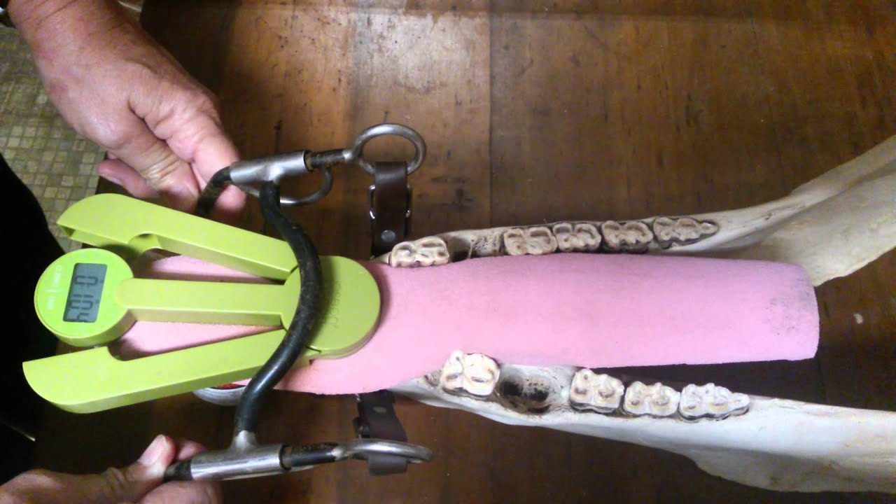 Bit and scale - YouTube