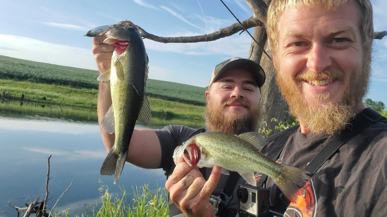 Farm Pond Bass Fishing After Cold Front ( 🔥 topwater action ) - YouTube