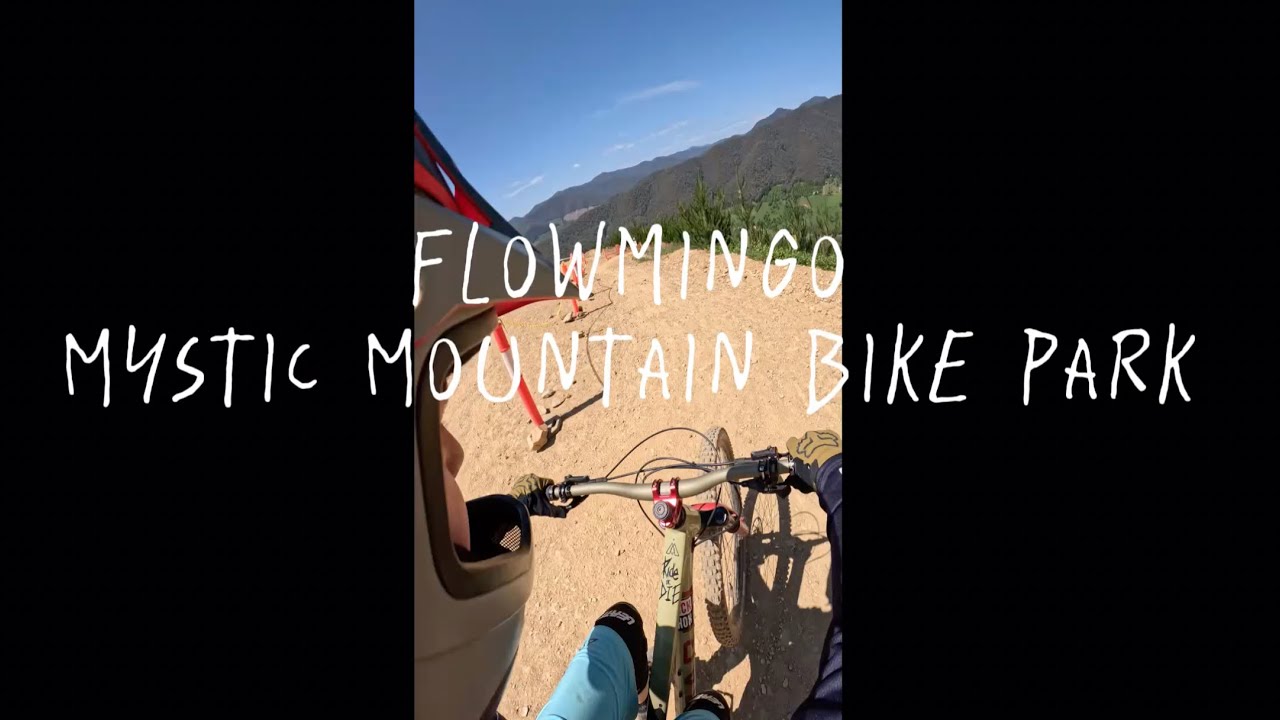 FLOWMINGO, MYSTIC MTB PARK - YouTube