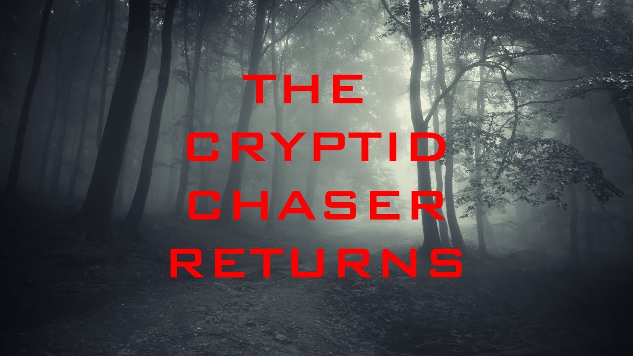 The Cryptid Chaser Returns (Official Intro) - YouTube