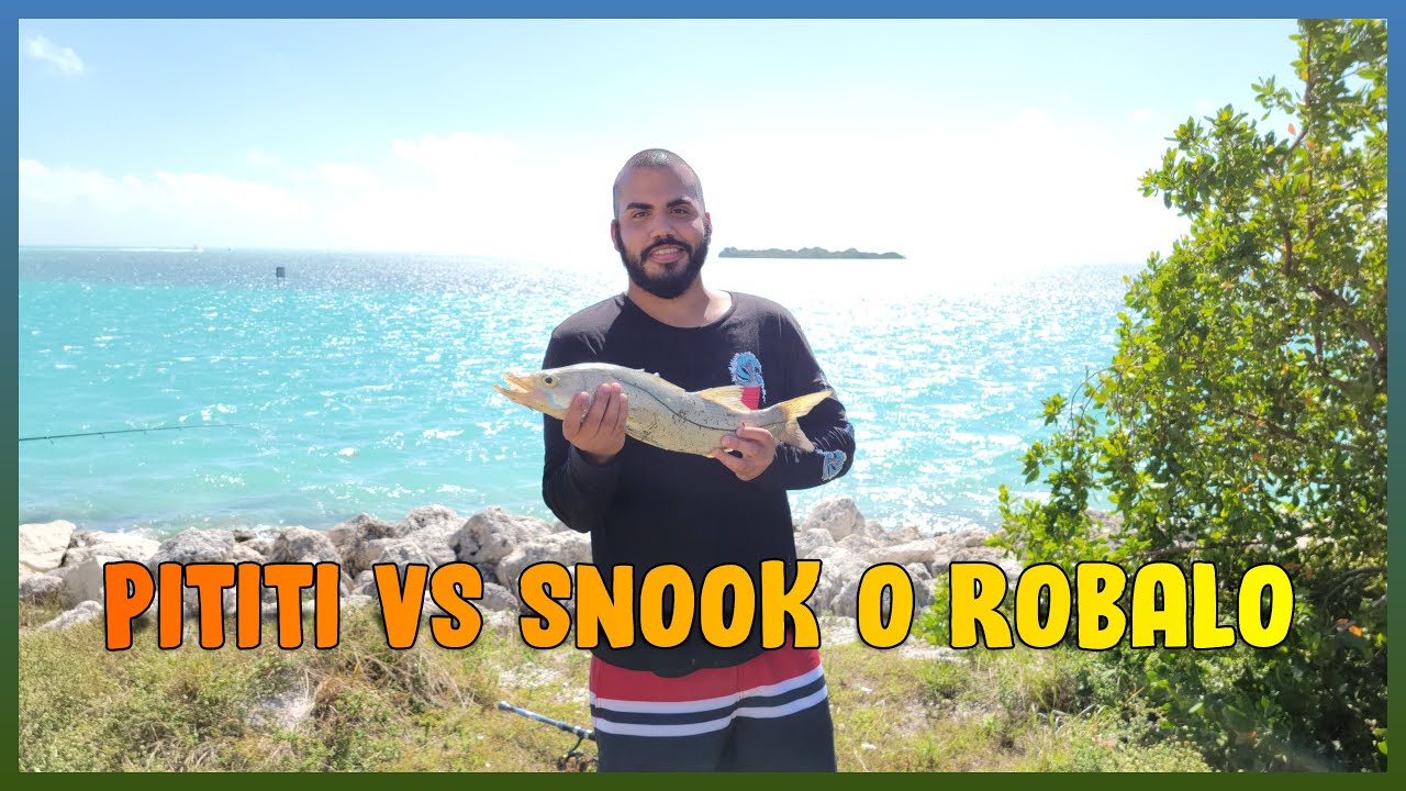 🎣 Pesca de Robalo ️ #Snook - YouTube