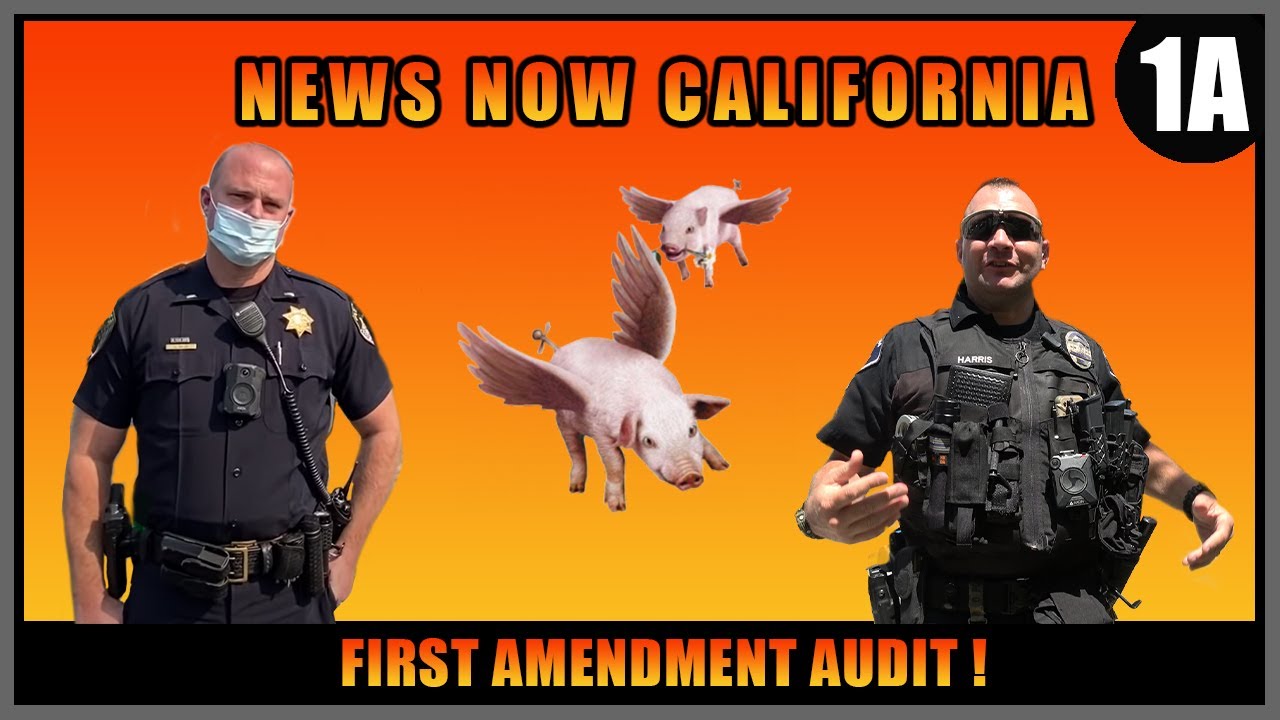 WATCH... IDIOTS TYRANTS AND DUMMIES 1ST AMENDMENT AUDITS - YouTube