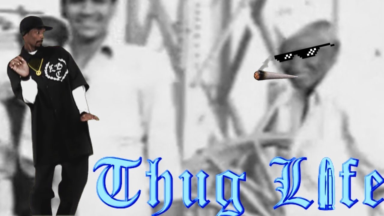 OS REIS DO THUG LIFE | THE KING OF THUG LIFE #50 - YouTube