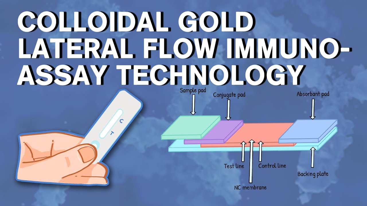 Colloidal Gold Lateral Flow Immunoassay application - YouTube