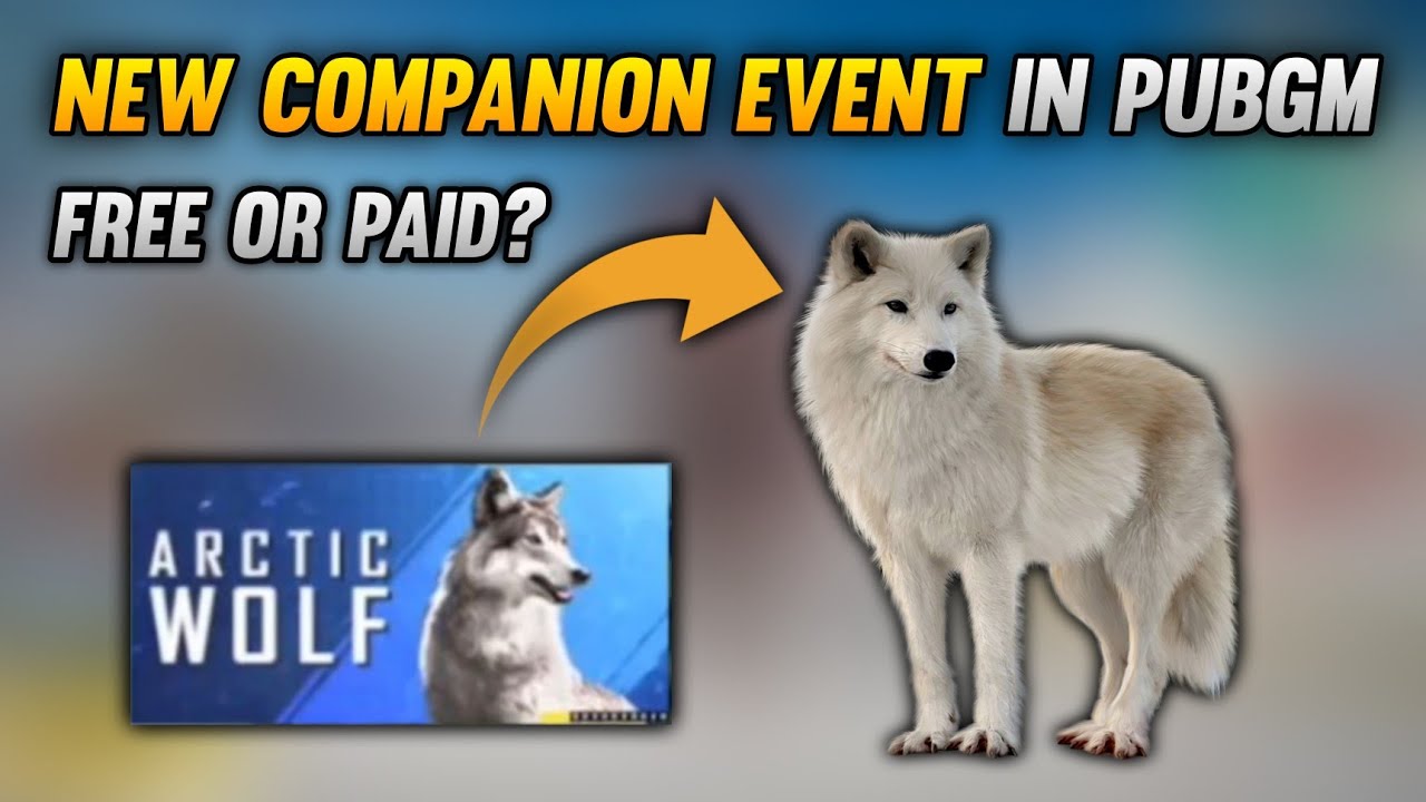 NEW COMPANION EVENT IN PUBG MOBILE | ARCTIC WOLF NEW COMPANION | FREE ...