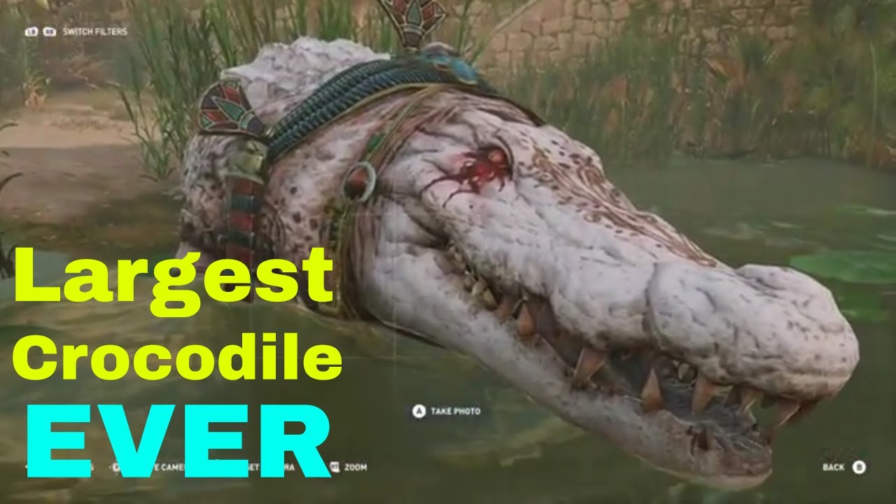 Largest crocodile ever in Assassin's Creed origins - YouTube