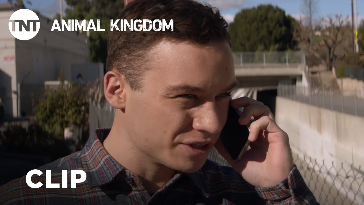 Animal Kingdom: Bank Robbery [CLIP] | TNT - YouTube