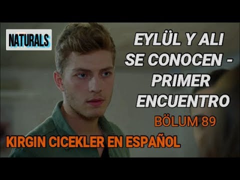 Huérfanas - EYLÜL Y ALI SE CONOCEN - BÖLUM 89 / KIRGIN CICEKLER ESPAÑOL