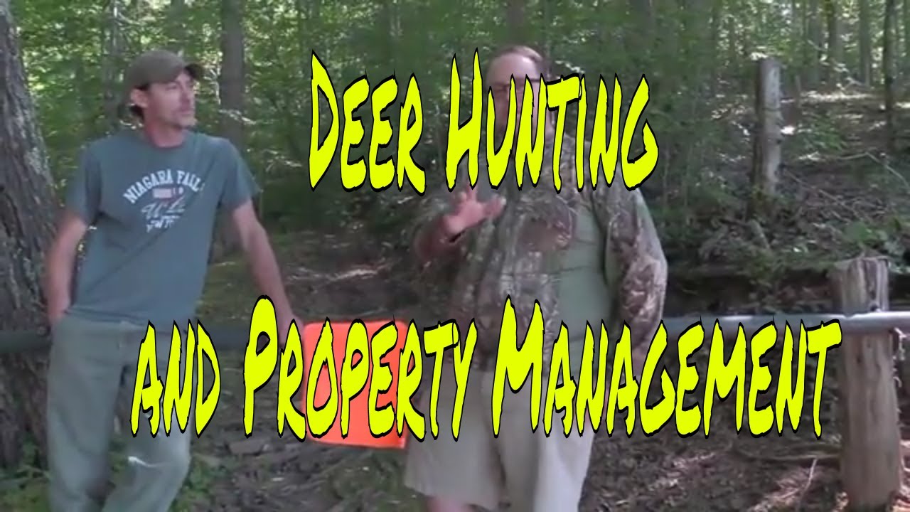 Deer Hunting & Scouting and Management, How to Scout Out Your Land for ...