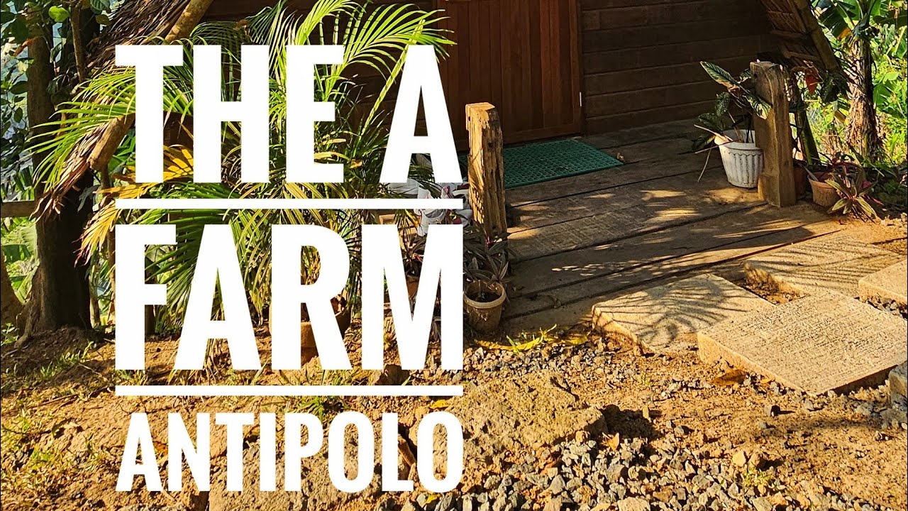 The A Farm Antipolo | TRAVEL VLOG - YouTube