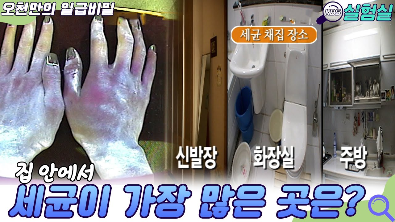 지식실험 화장실 현관 바닥 집에서 가장 더러운 곳은 어디일까 오천만의 일급비밀 Kbs 20080309 방송 Youtube
