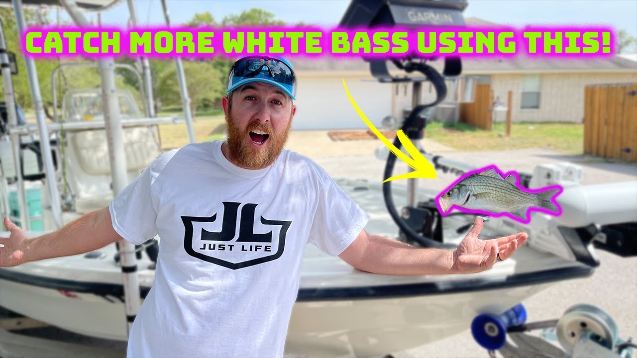 Tips for Catching TONS of Summer WHITE BASS!! - YouTube