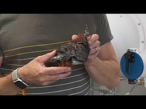 Solving a sticky problem. Recycling superstrong magnets! - YouTube