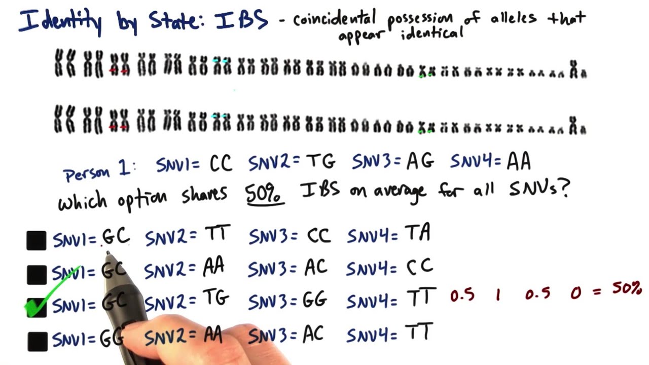 Identity By State - Tales from the Genome - YouTube