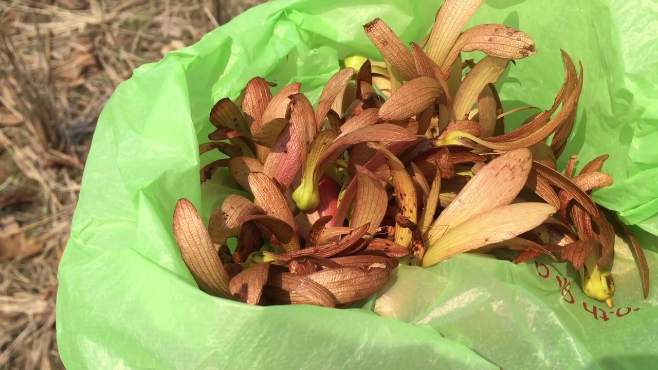 MOOCHING ABOUT! - YouTube