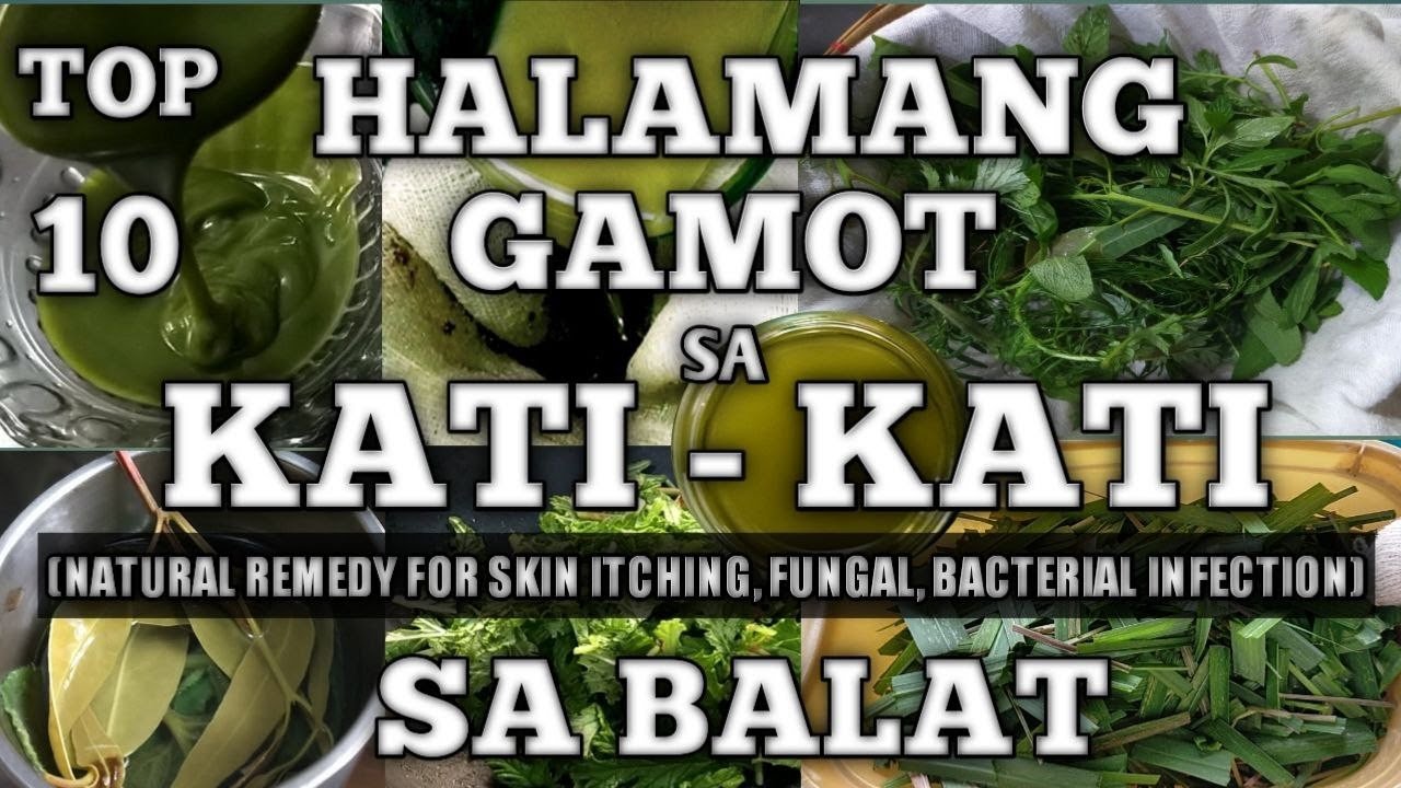 TOP 10 HALAMANG GAMOT PARA SA KATI-KATI SA BALAT || 10 PLANTS FOR SKIN ...