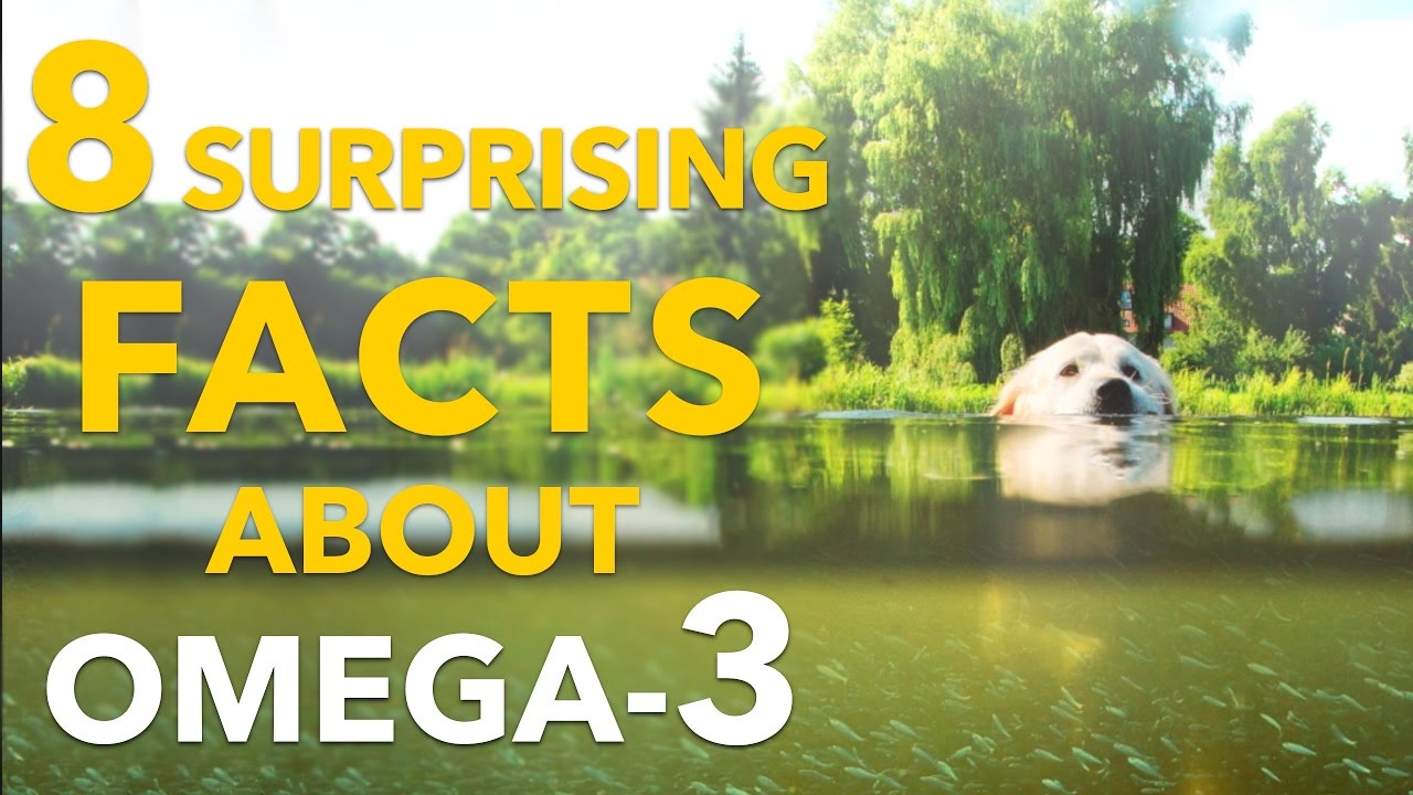 8 Surprising Facts about Omega-3 - YouTube
