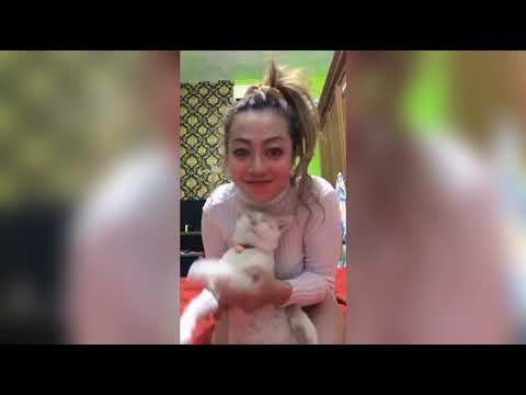 bigo hot | bigo hot ulva riani - bigo | bigo tante tante pemersatu bangsa | bigo vcs terbaru 2022