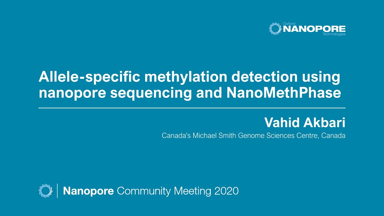Allele-specific methylation detection using nanopore sequencing and ...