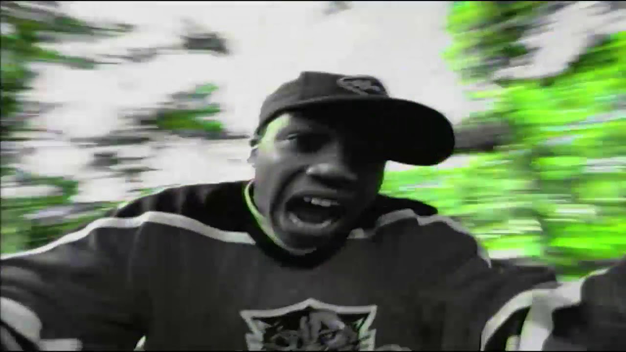 Da Bush Babees - Swing It (HD) | Official Video - YouTube