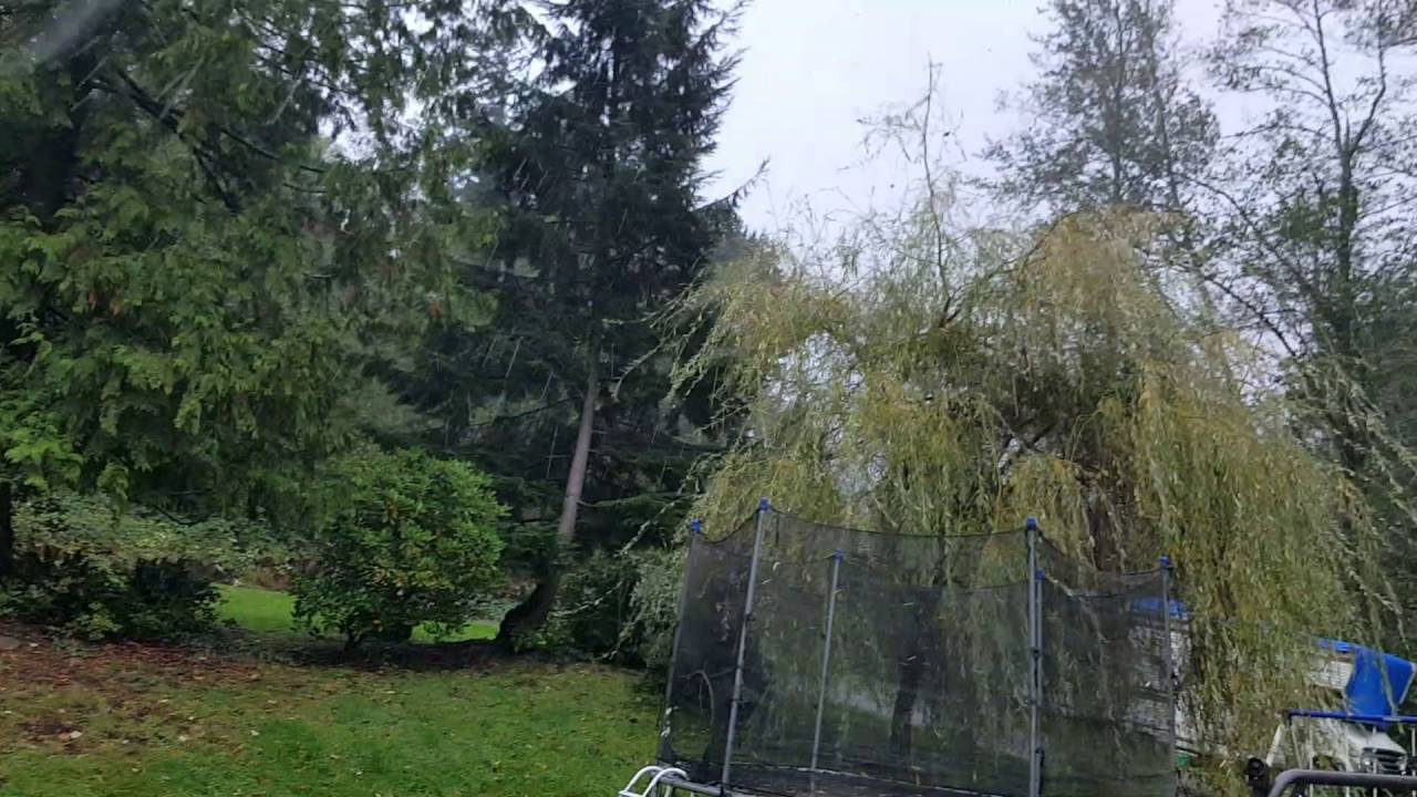 Wind storm in western Washington Oct 14 2016 (Arlington) - YouTube