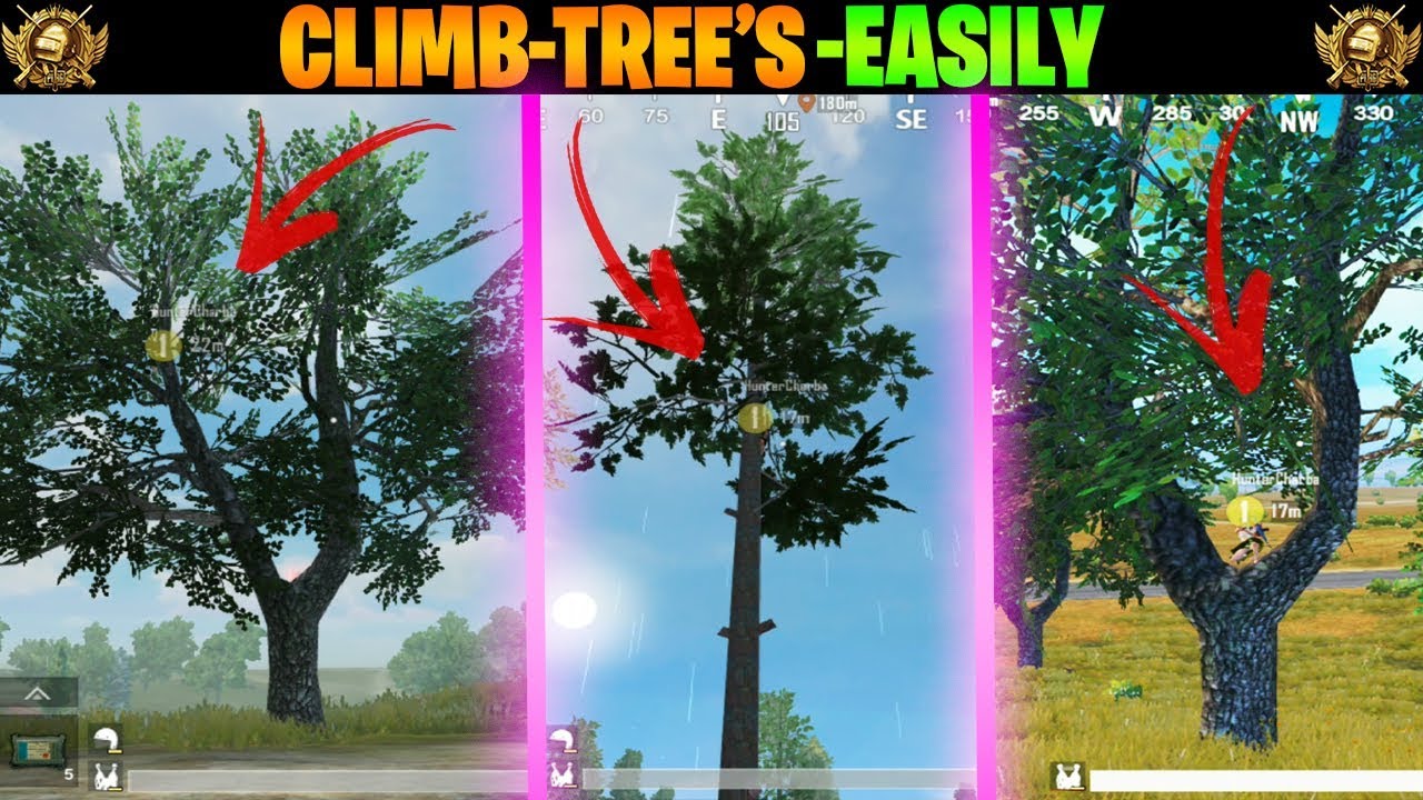 Look How CONQUEROR Players CLIMB ALL TREES so EASILY Secret TREE ...