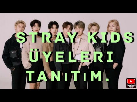 Stray kids Üye Tanıtımı.