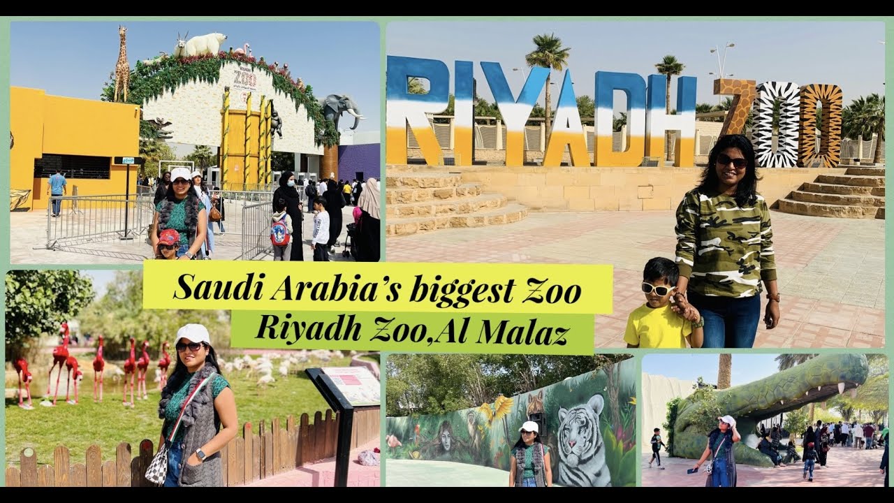 Saudi Arabia’s biggest zoo Riyadh Zoo Tour | Best place for kids # ...