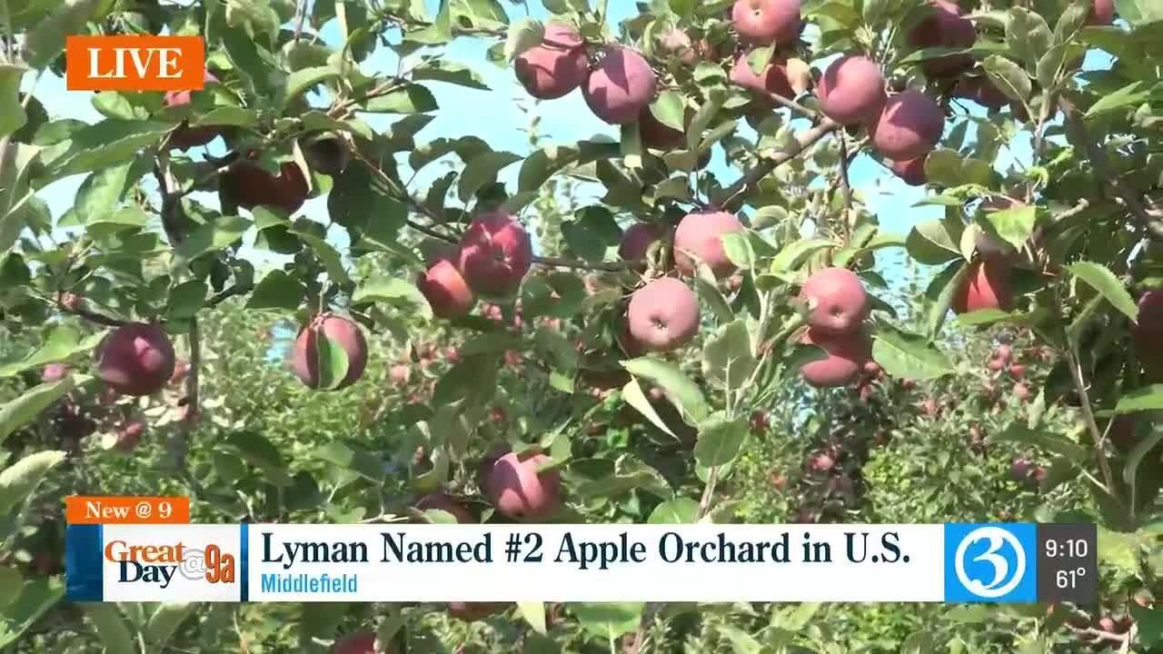 Lyman Orchards Apple Picking - YouTube