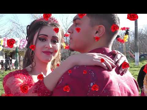 Kına töreni  Sinem ve kiro 04 01 2022  Gorno voyvodovo