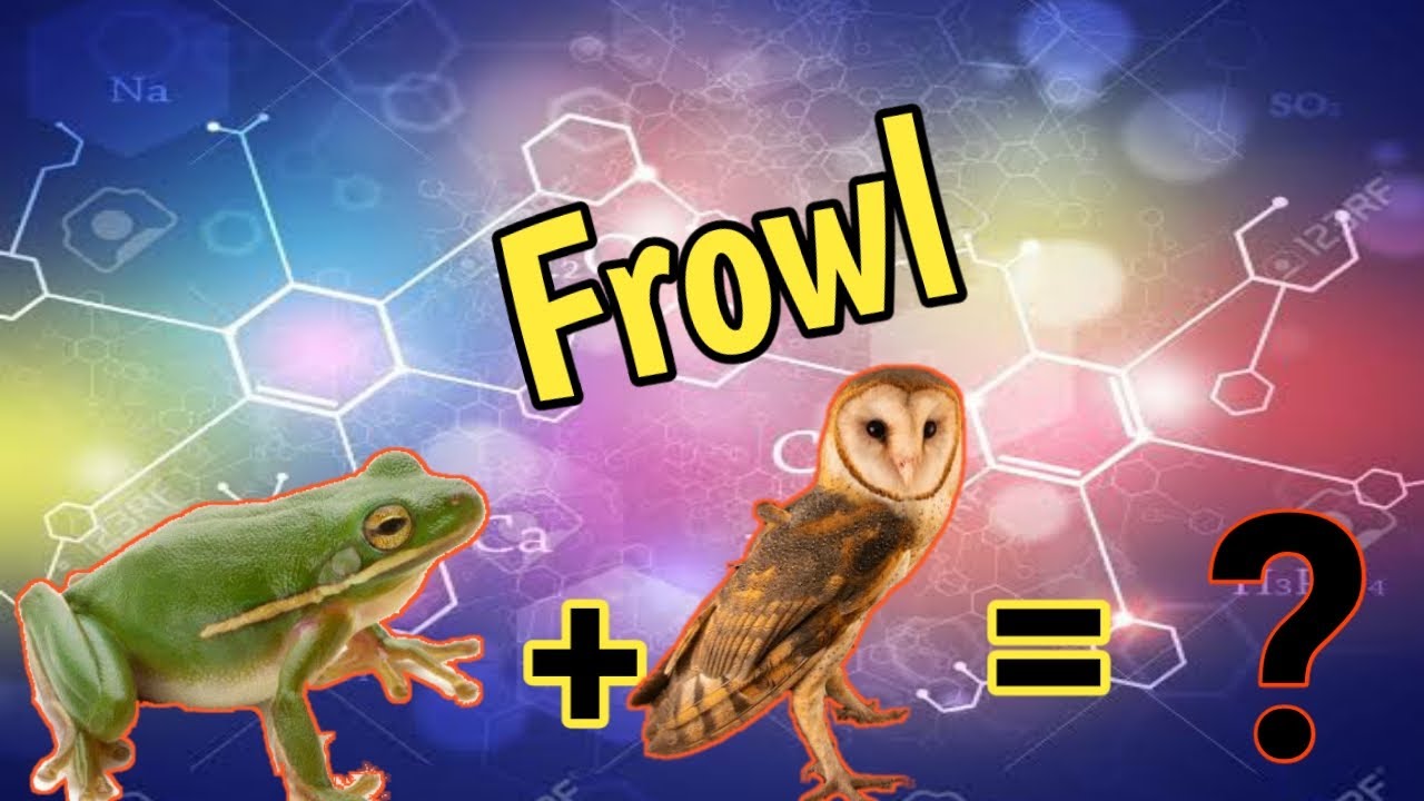 FROWL 》YoutubeScienceOfficial - YouTube