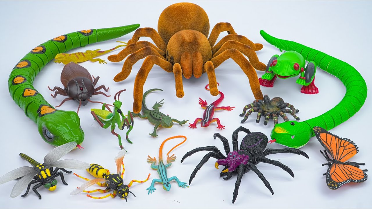 [🐰toy asmr🐰] ZURU Robo Alive King Cobra Snake & RC Giant Tarantula Toys ...
