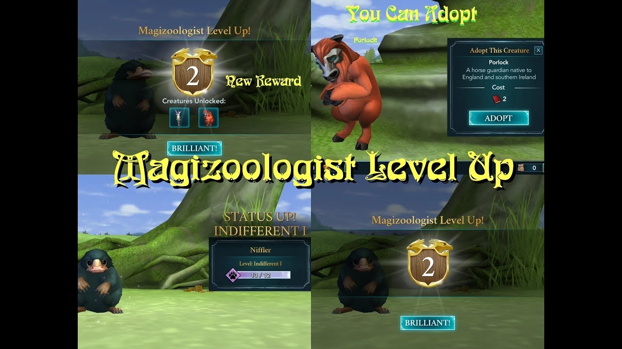 MAGIZOOLOGIST LEVEL UP AND REWARD HARRY POTTER HOGWARTS MYSTERY - YouTube