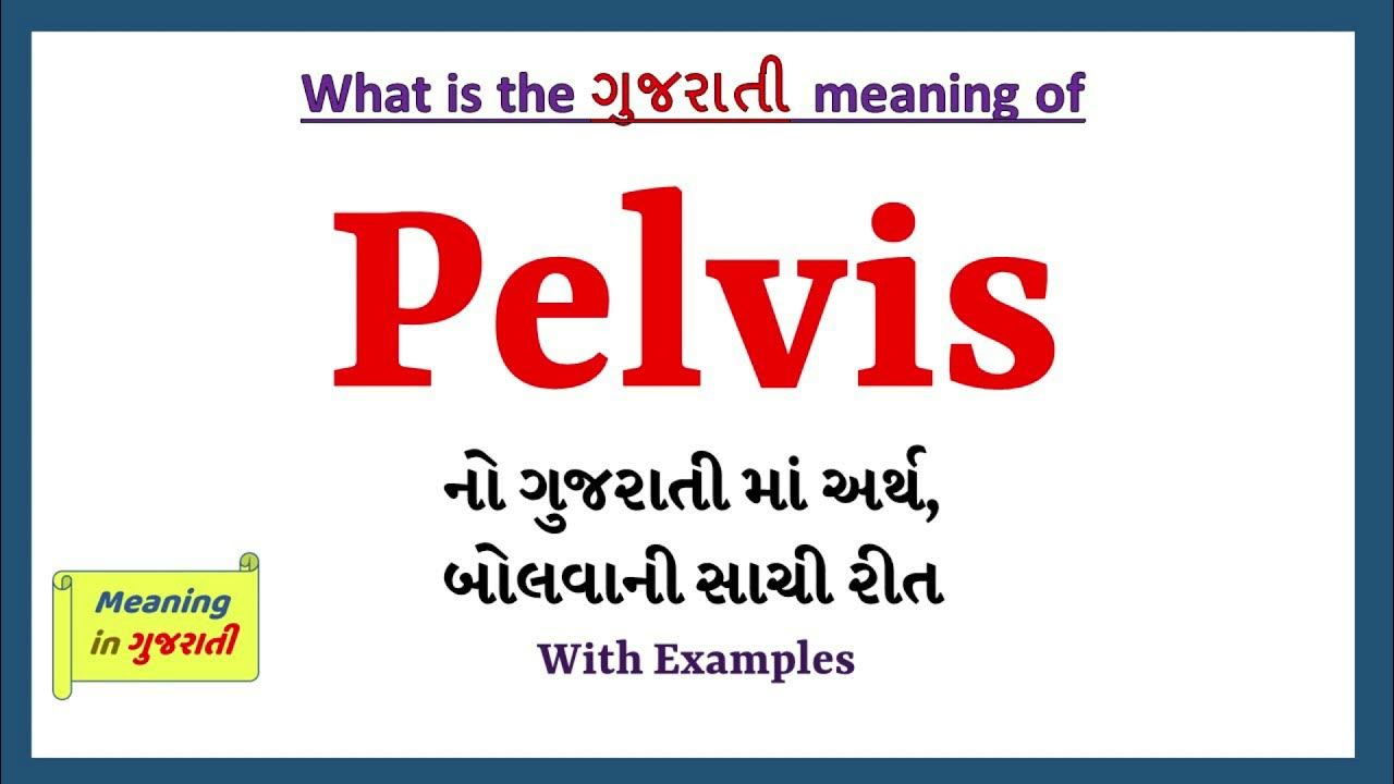pelvis-meaning-in-gujarati-pelvis-pelvis-in-gujarati
