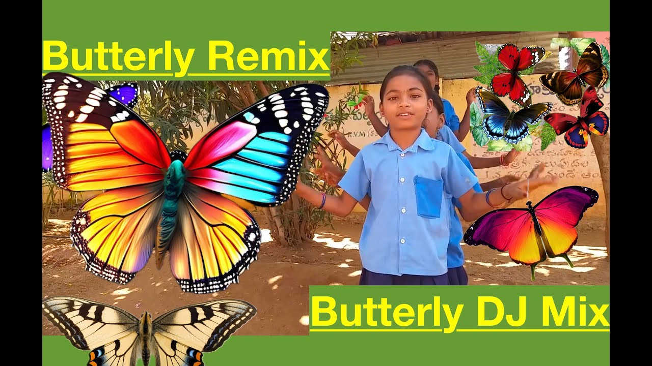 Butterly Remix, Insta Trending, BUTTERFLY Rhyme, BUTTERFLY DJ Song, C ...
