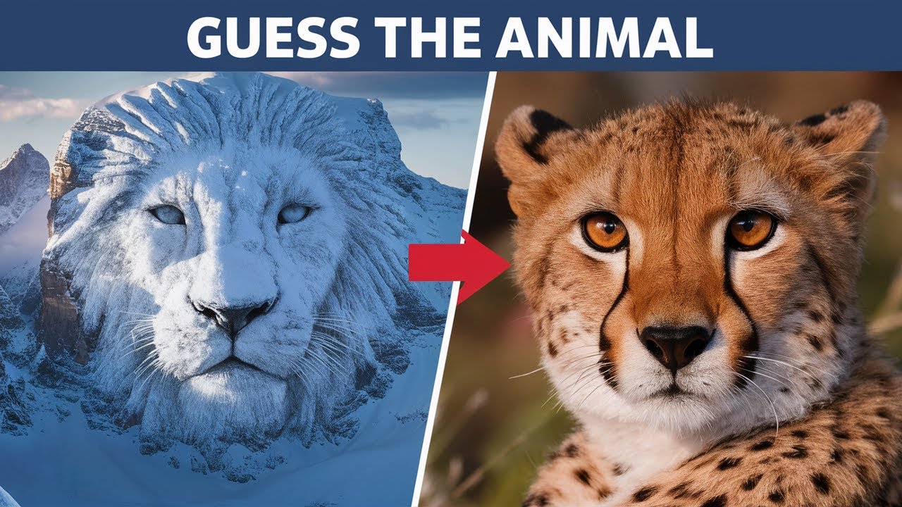Guess The Animals in 3 Seconds | Easy, Medium, Hard, Impossible | Daily ...