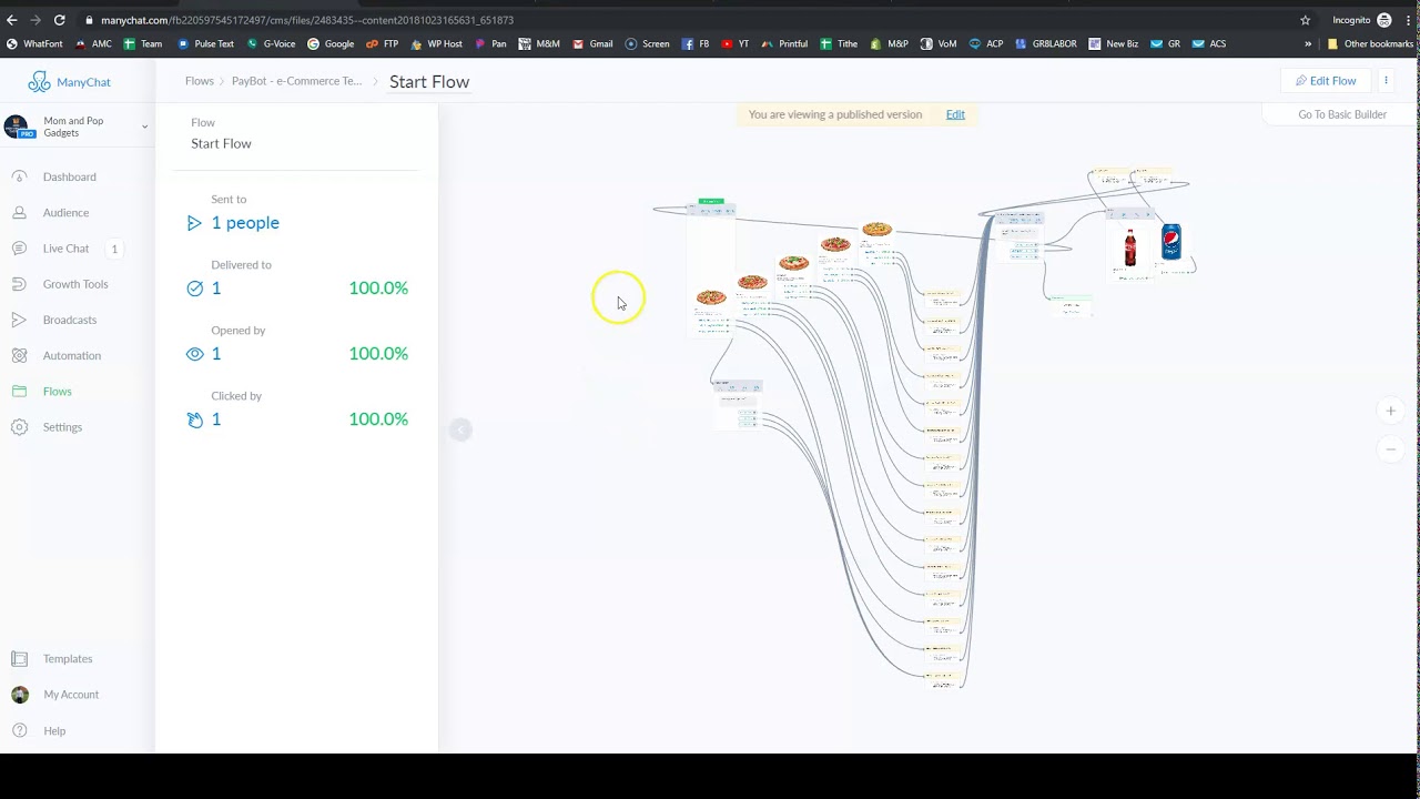 PayBot Flow Folder Quick Tour [Part 3] [Paybot - Manychat eCommerce ...