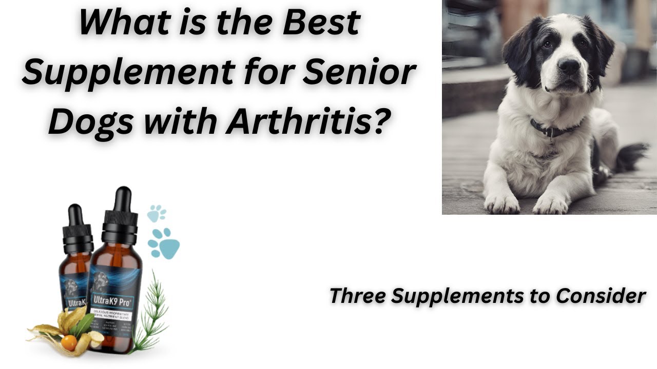 What is the Best Supplement for Senior Dogs with Arthritis? - Three ...