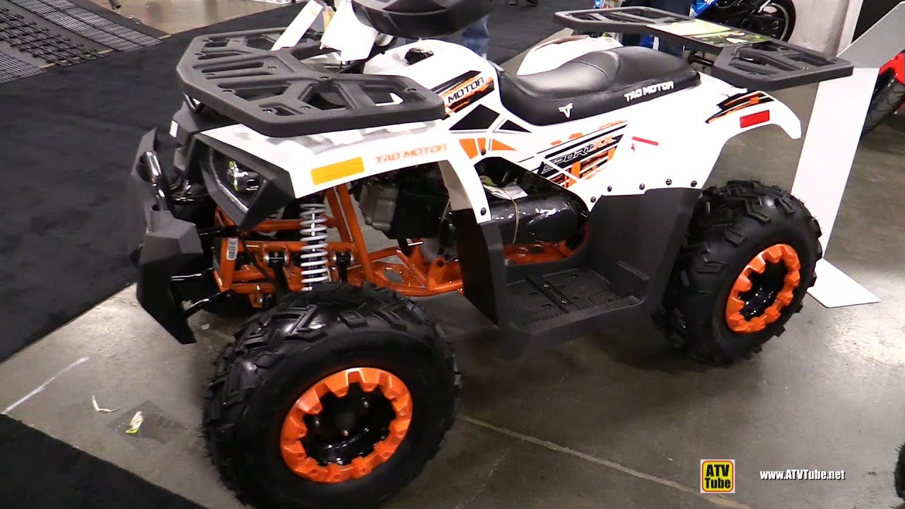 Tao Motor Raptor 200 2020 Recreational ATV - Walkaround Tour - YouTube