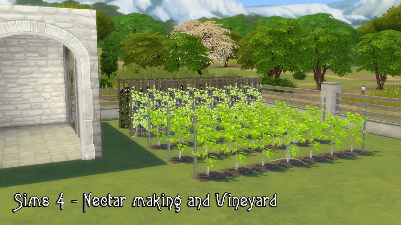 Sims 4 - Nectar making and vineyard / Симс 4 - Нектароварение и ...