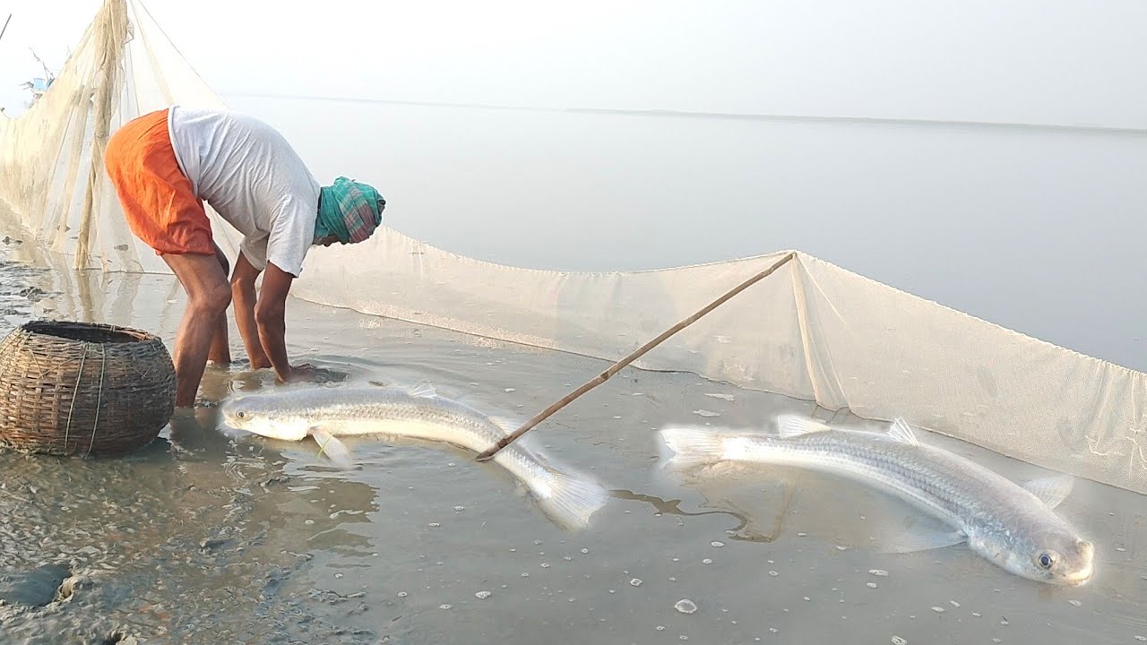 Amazing Best Fishing Video in River Side!! Old Fisherman Catch big ...