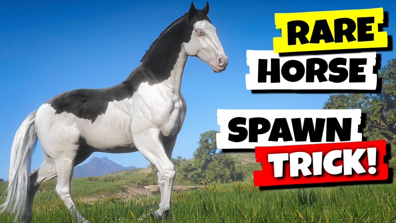 RARE Horse SECRET Trick in RDR2 (Splashed White American Paint) - YouTube