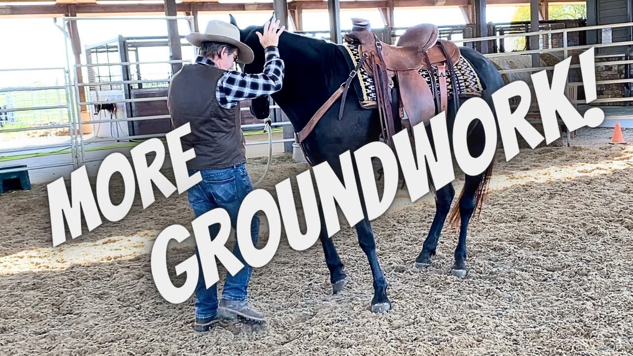 More Groundwork| Working With "Pretty Lady" | Just the Beginning | Real ...