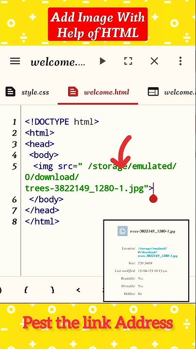 Add Photo with IMG Tag//HTML coding#viral #html ##shorts - YouTube