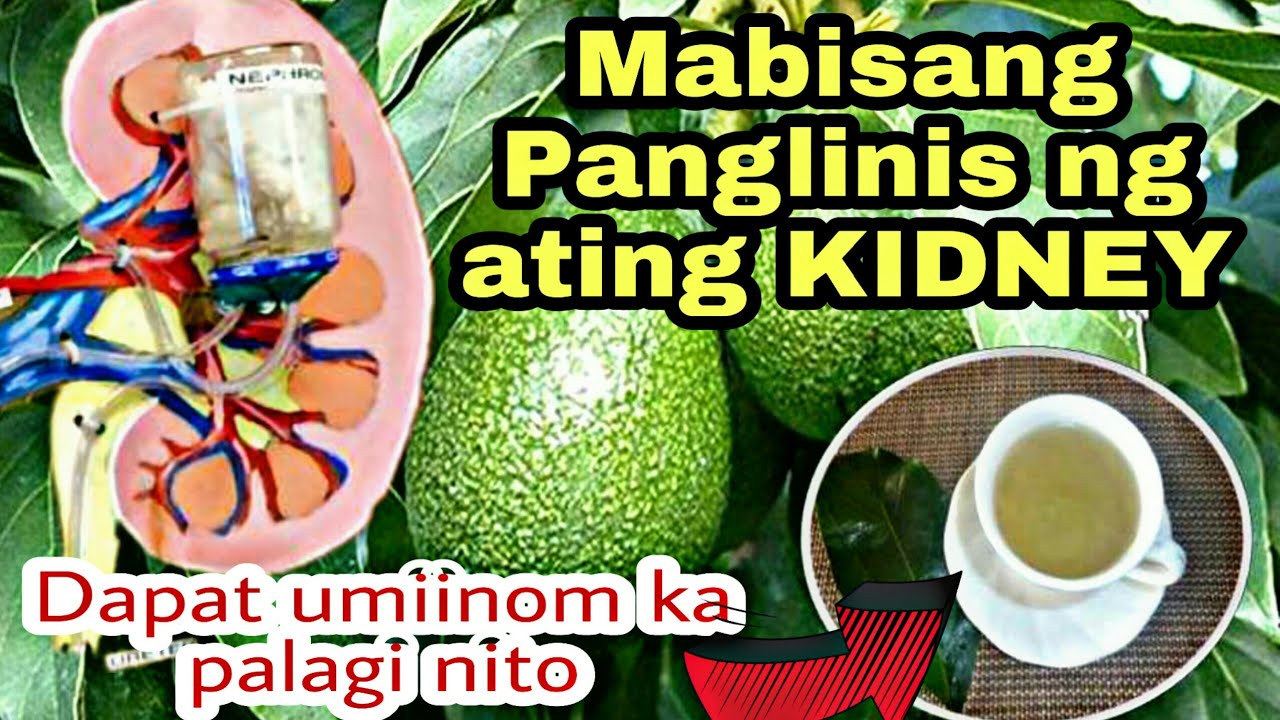 Mabisang Panglinis ng ating KIDNEY | Dapat umiinom ka palagi nito 👆👆👆 ...