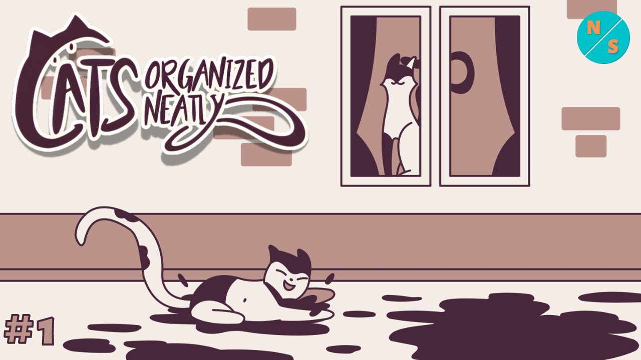 Fitting Cats Into Boxes! | Cats Organized Neatly #1 - YouTube