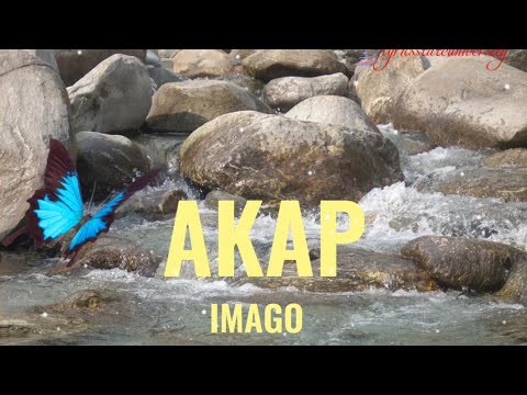 AKAP - IMAGO lyrics - YouTube